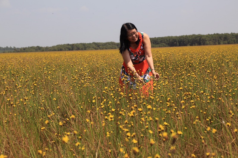 Mùa hoa nhĩ cán tím & hoàng đầu ấn ở Tràm Chim - TRE Magazine